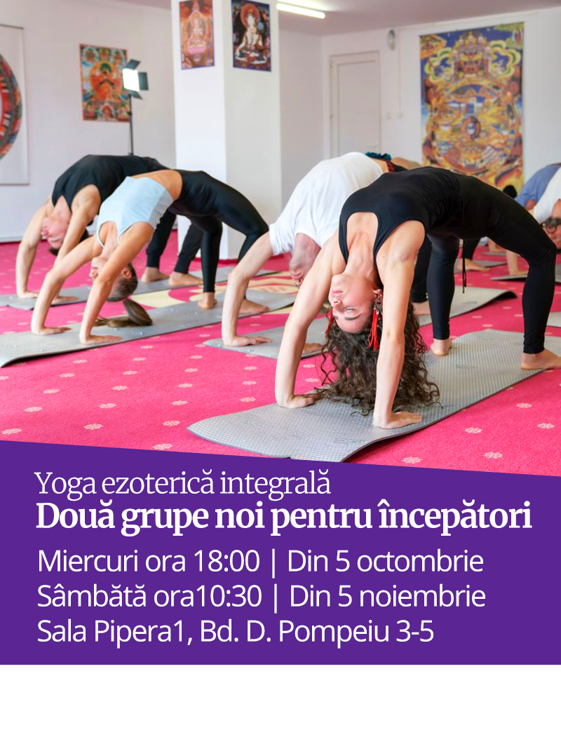 Școala de yoga ezoterică integrală MISA